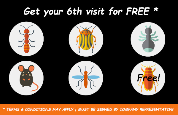 Pest Control for Cockroach, Wirdien, Insects, Termites and Rats